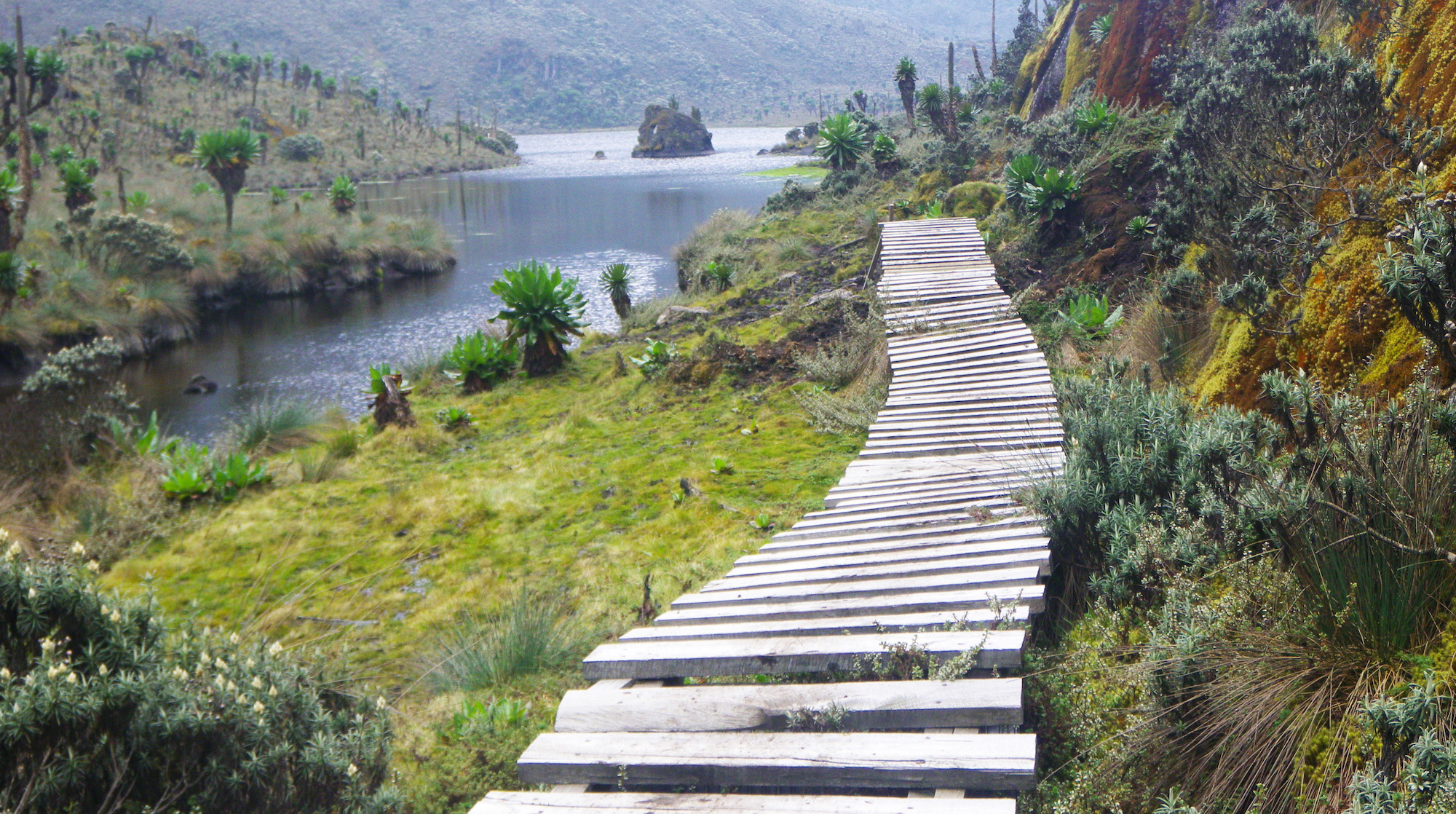 Mt Rwenzori – Central Circuit - Kibo Slopes Safaris