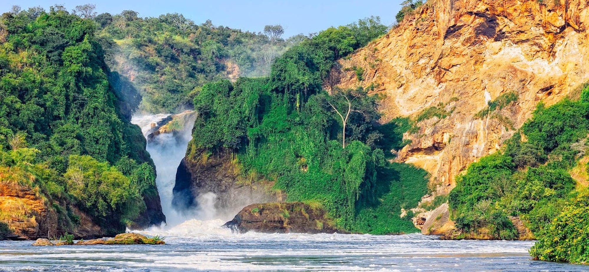 Rhino and Primate Tracking - Kibo Slopes Safaris